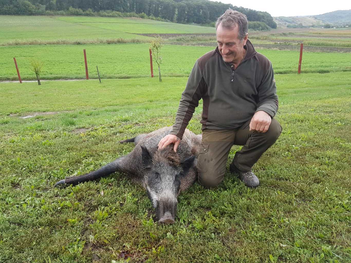 The best hunting and game photos - Hunting in Hungary