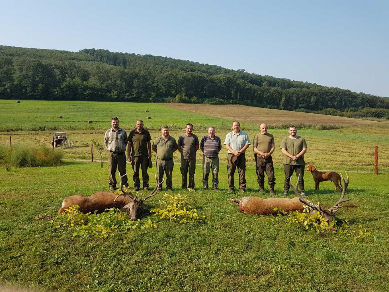 The best hunting and game photos - Hunting in Hungary