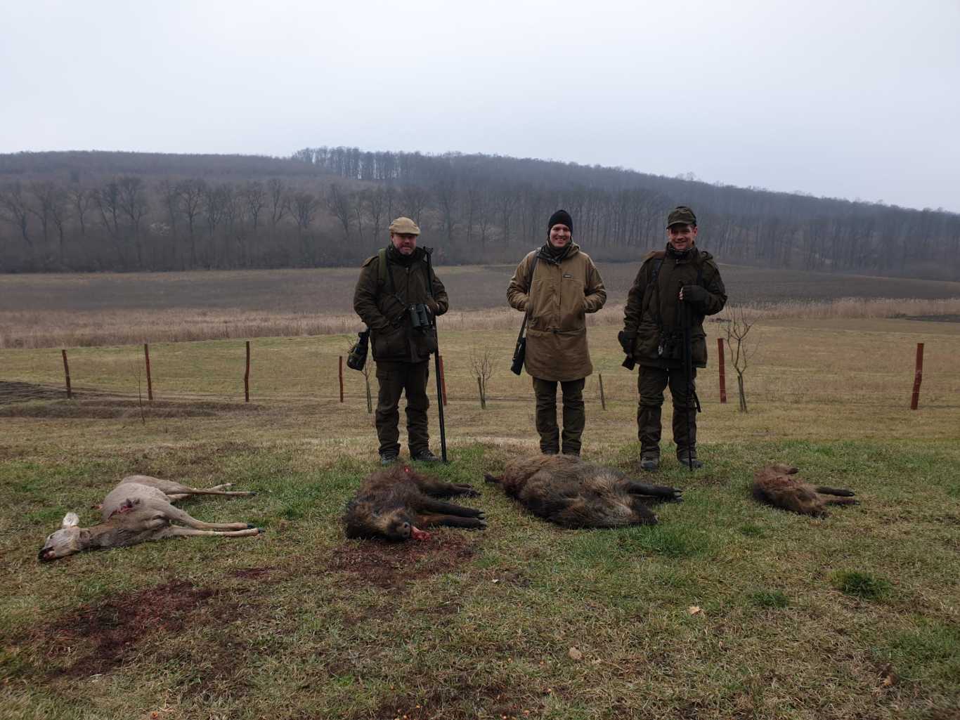 The best hunting and game photos - Hunting in Hungary