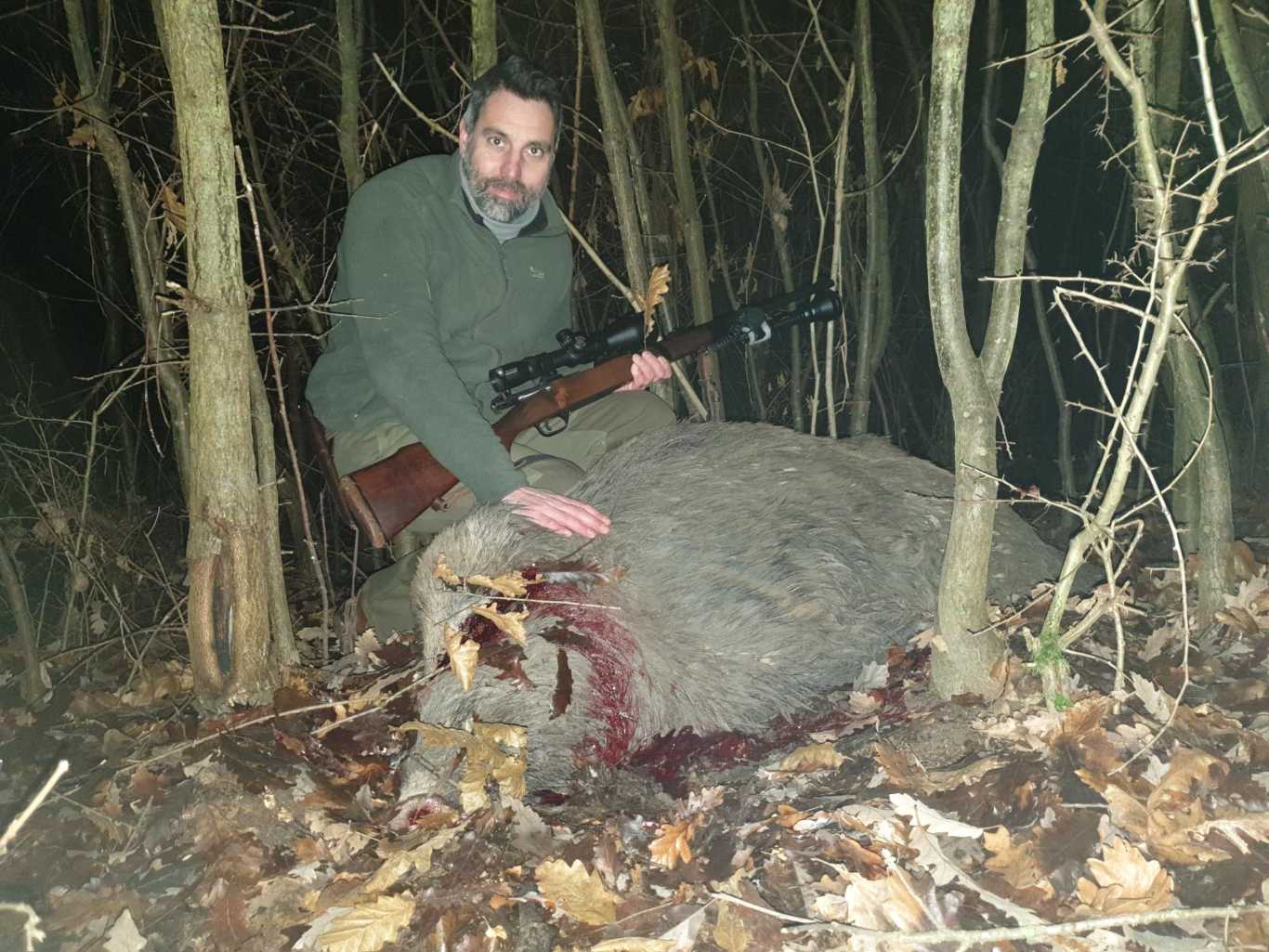 The best hunting and game photos - Hunting in Hungary