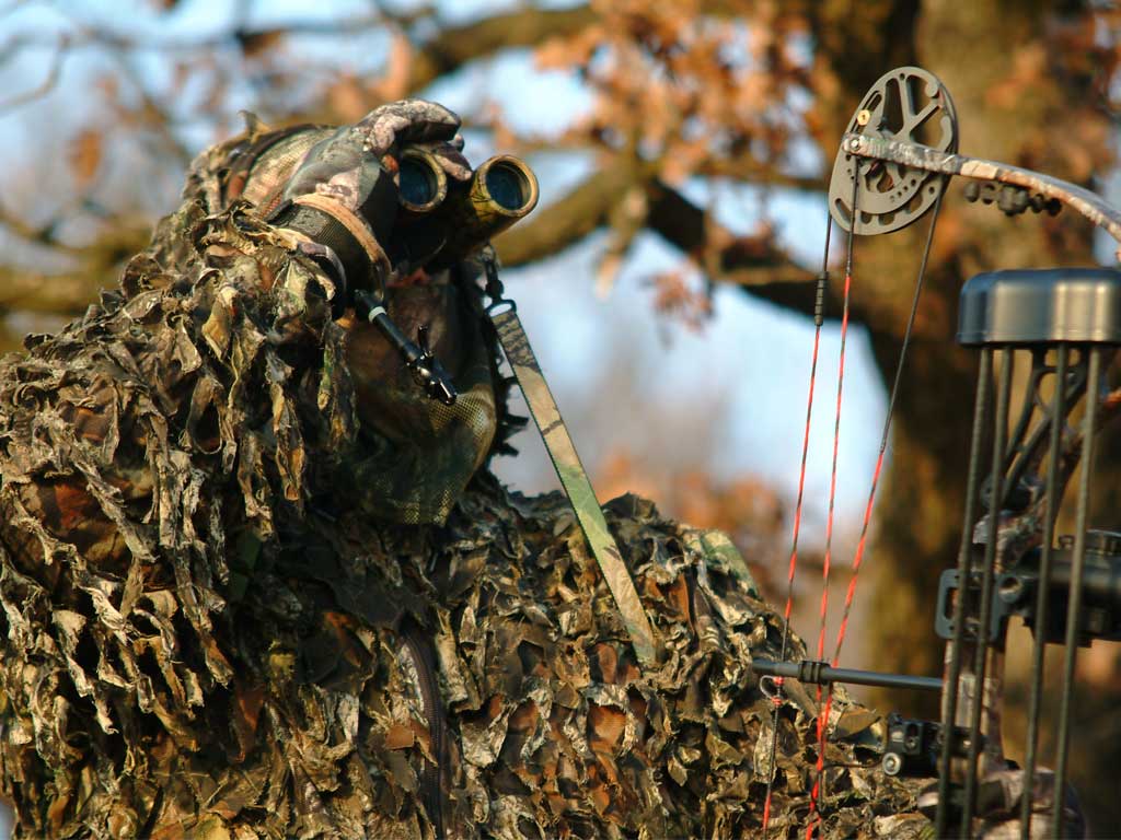 The best hunting and game photos - Hunting in Hungary