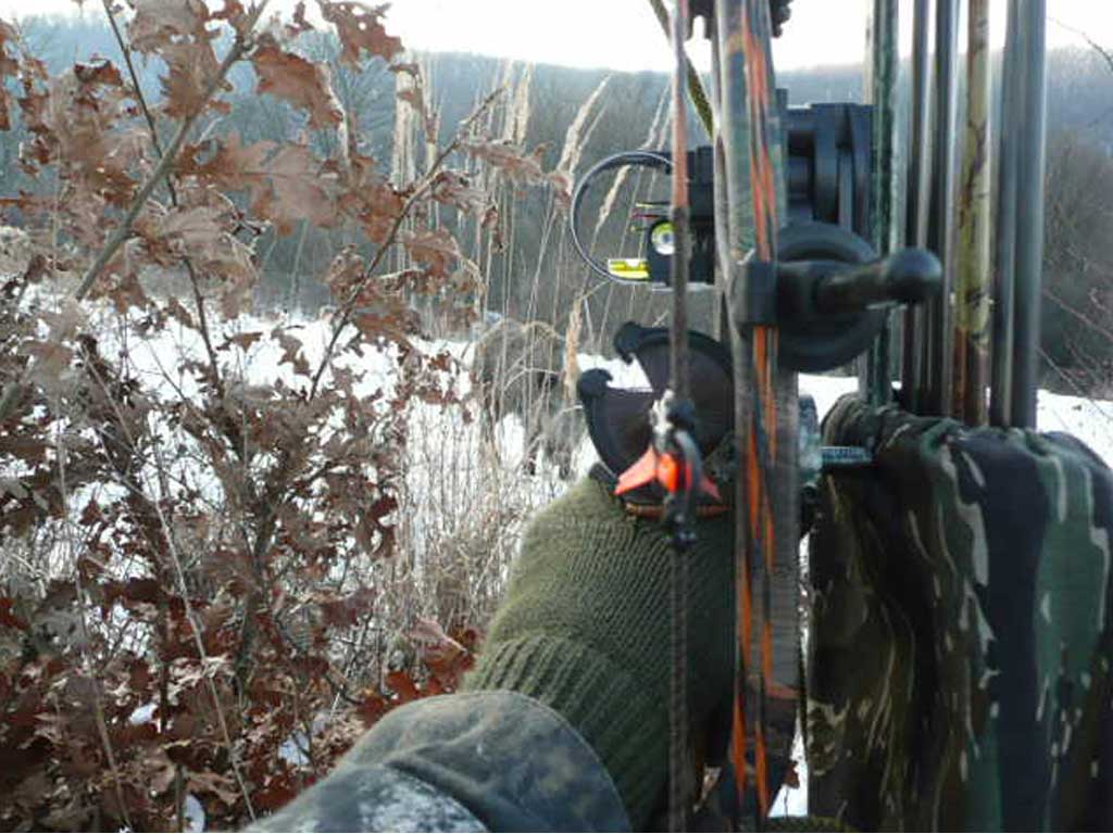 The best hunting and game photos - Hunting in Hungary