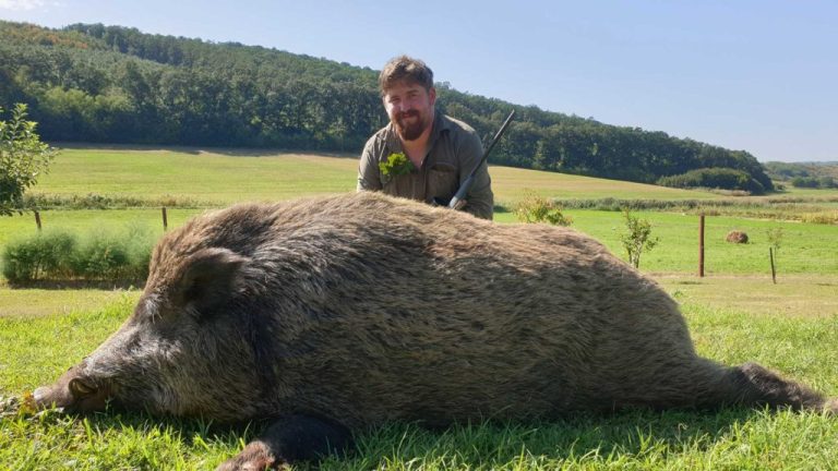 High seat and stalking Wild boar hunting in Hungary – Hunting in Hungary